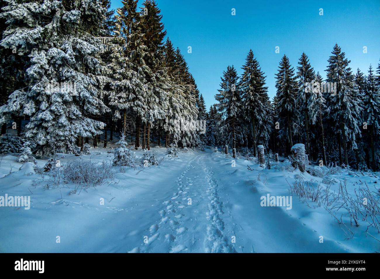 Winter hike through the Thuringian Forest near Oberhof and ...