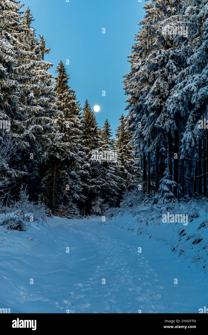 Winter hike through the Thuringian Forest near Oberhof and ...