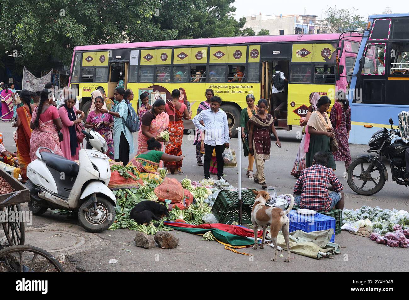 Vegetable sellers at the Parry's bus-stand in the George Town district ...