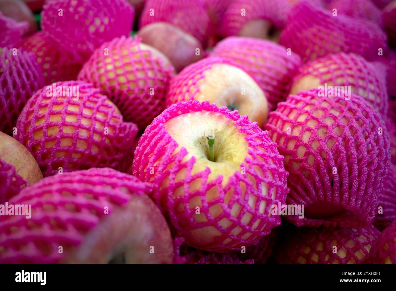 Un environmentally friendly hi-res stock photography and images - Alamy