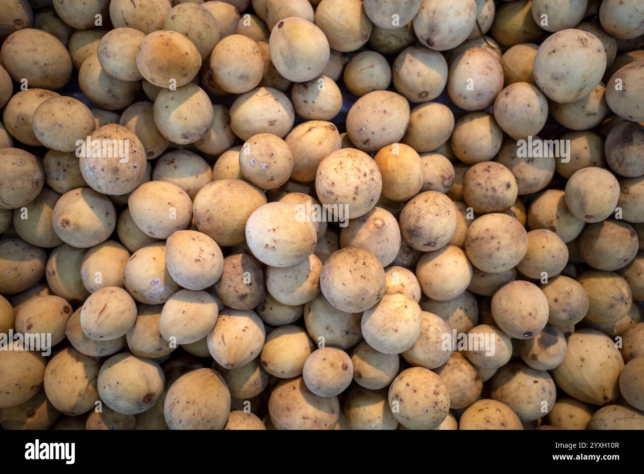 A pile of Duku fruits (Lansium parasiticum) or commonly known as ...