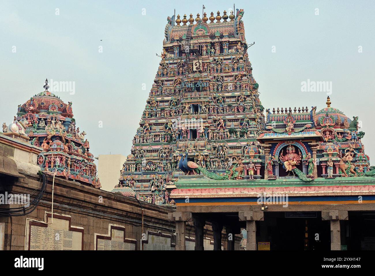 Kapaleeshwarar Temple in Chennai, Tamil Nadu, India Stock Photo - Alamy