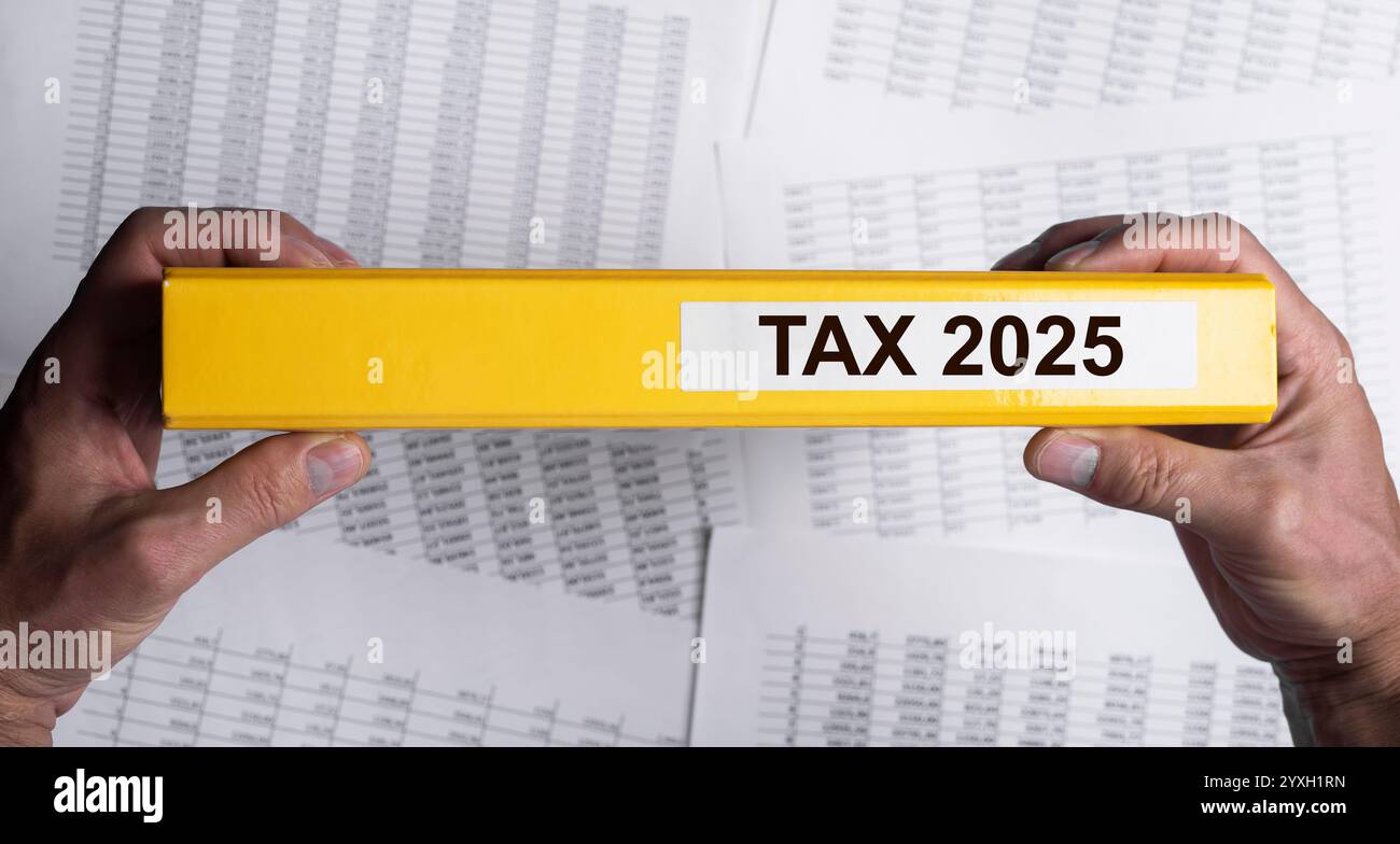 2025 annual taxes calculation, accounting and taxation law, business ...