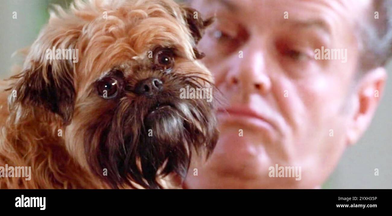 AS GOOD AS IT GETS 1997 Sony Pictures Releasing film with Jack ...