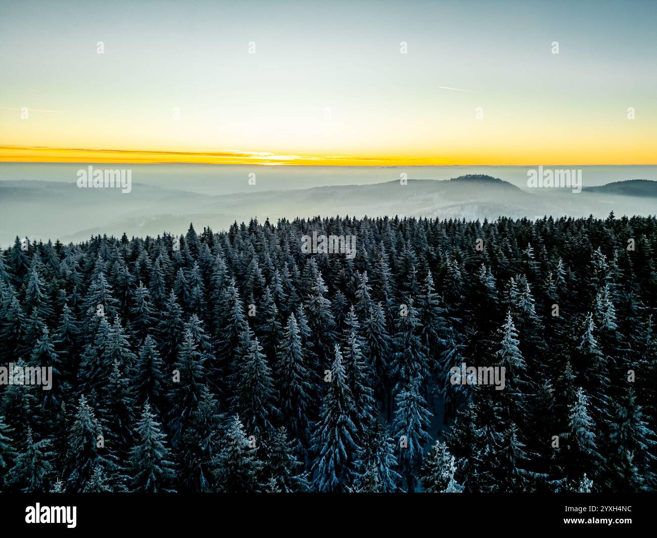 Winter hike through the Thuringian Forest near Oberhof and ...