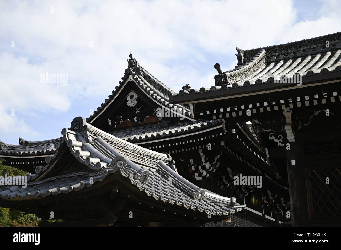 Ultimate nailless craftsmanship with exquisite Japanese Zelkova Serrata ...