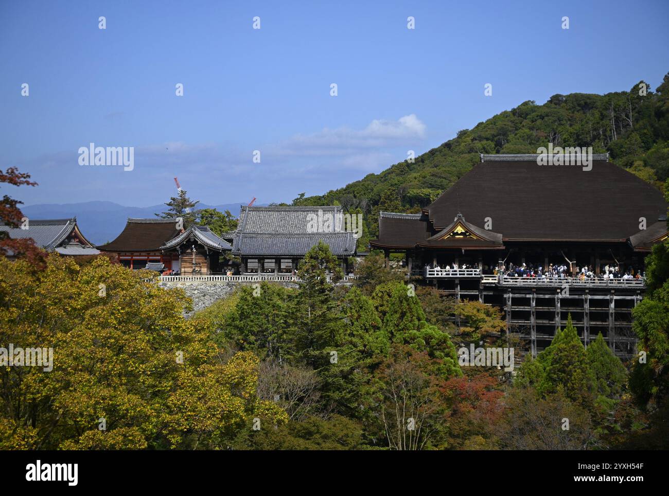 Scenic view of Butai the wooden stage complex made of Japanese keyaki ...