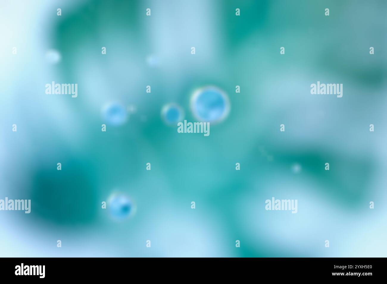 Soft abstract turquoise background featuring floating bubbles with blur ...