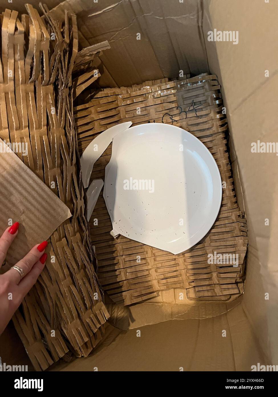 White ceramic plate broken during shipping, shown resting on rattan mat ...