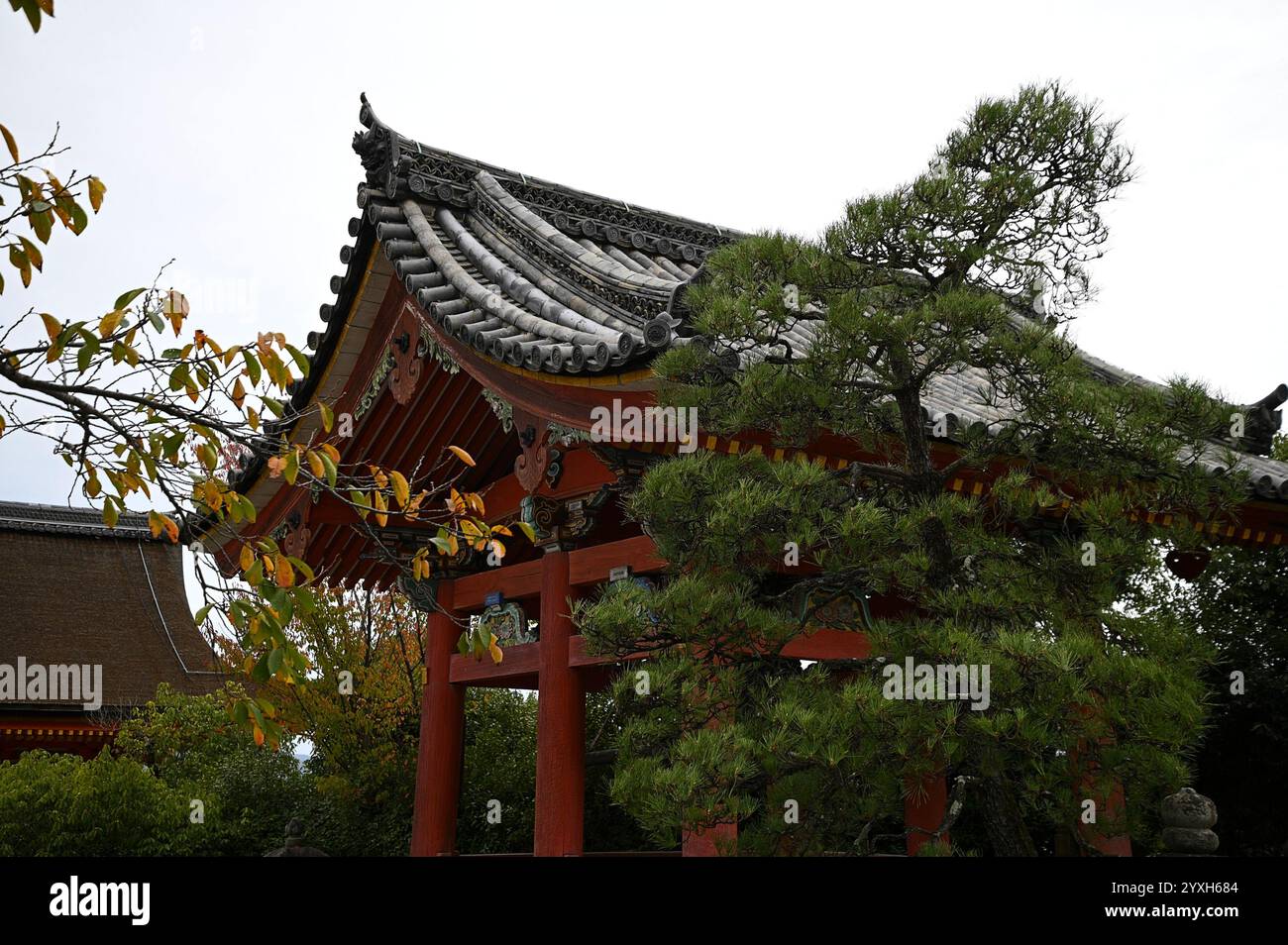 Scenic view of the Shoro a roofed structure without walls known as ...