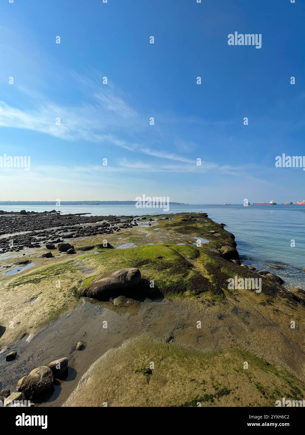 Rocky section of Vancouver's Seawall during low tide, showing mossy ...