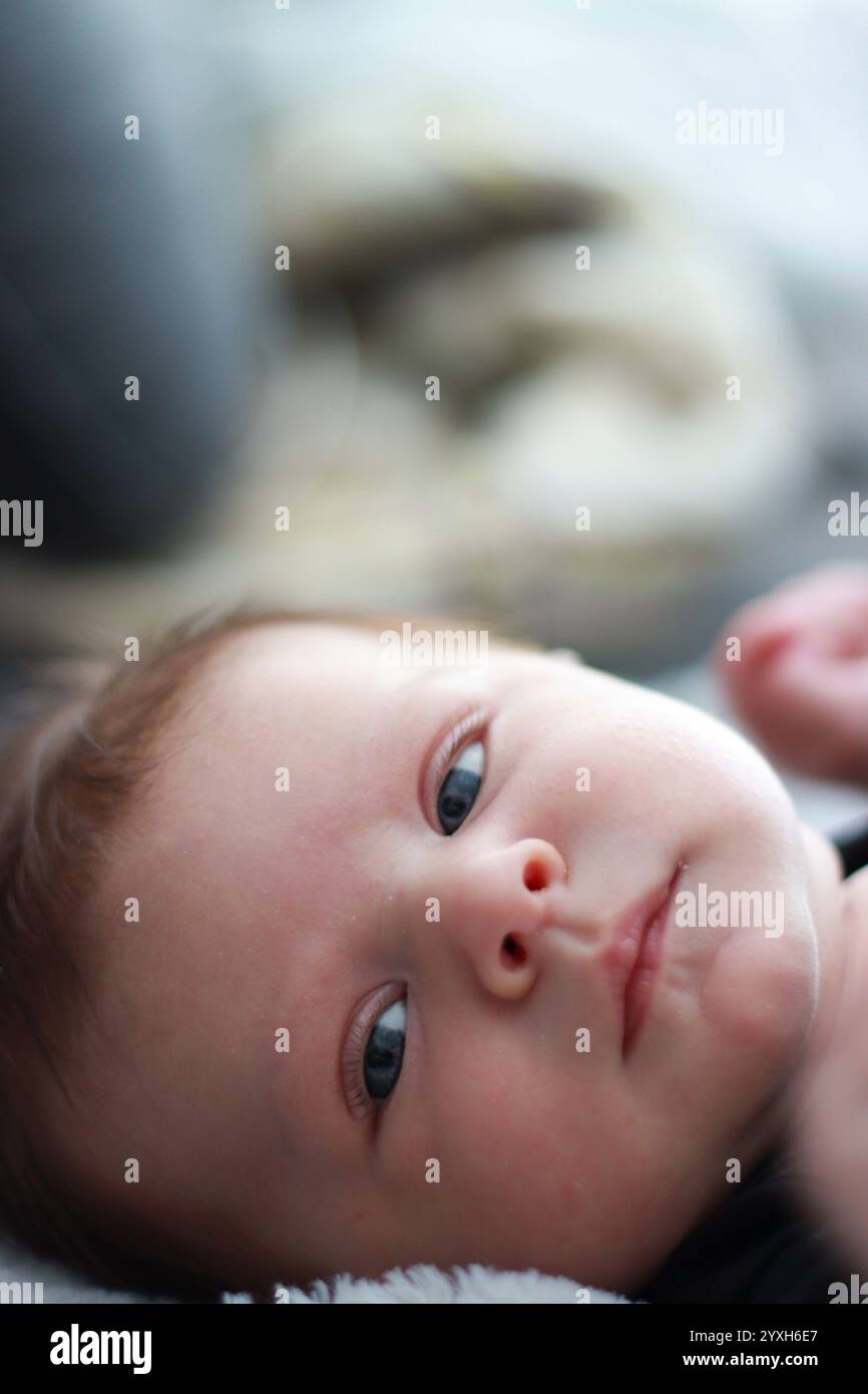 Close-up portrait of an alert baby with bright blue eyes looking ...