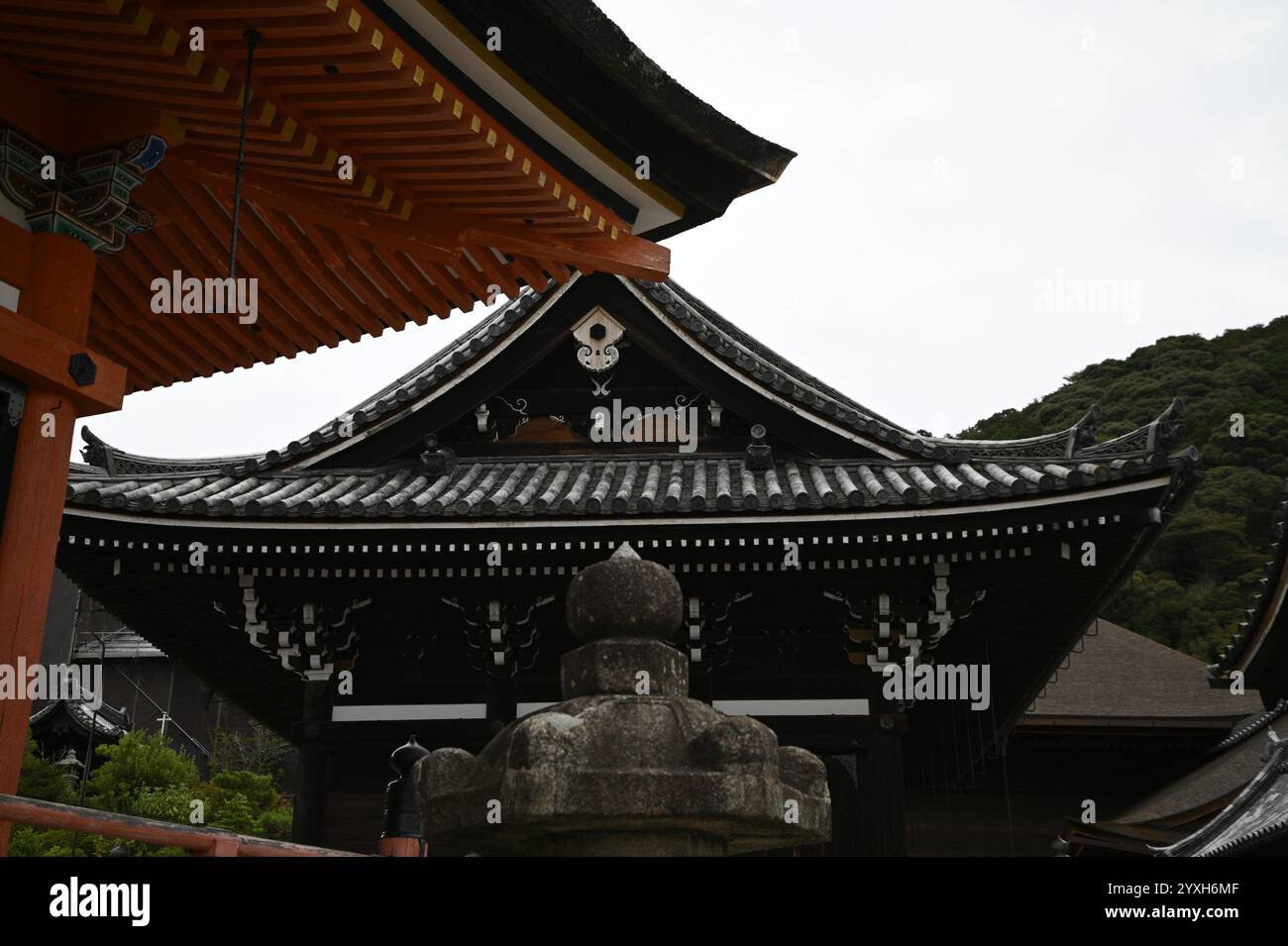 Kirizuma rooftops with exquisite Japanese Zelkova Serrata wood carvings ...