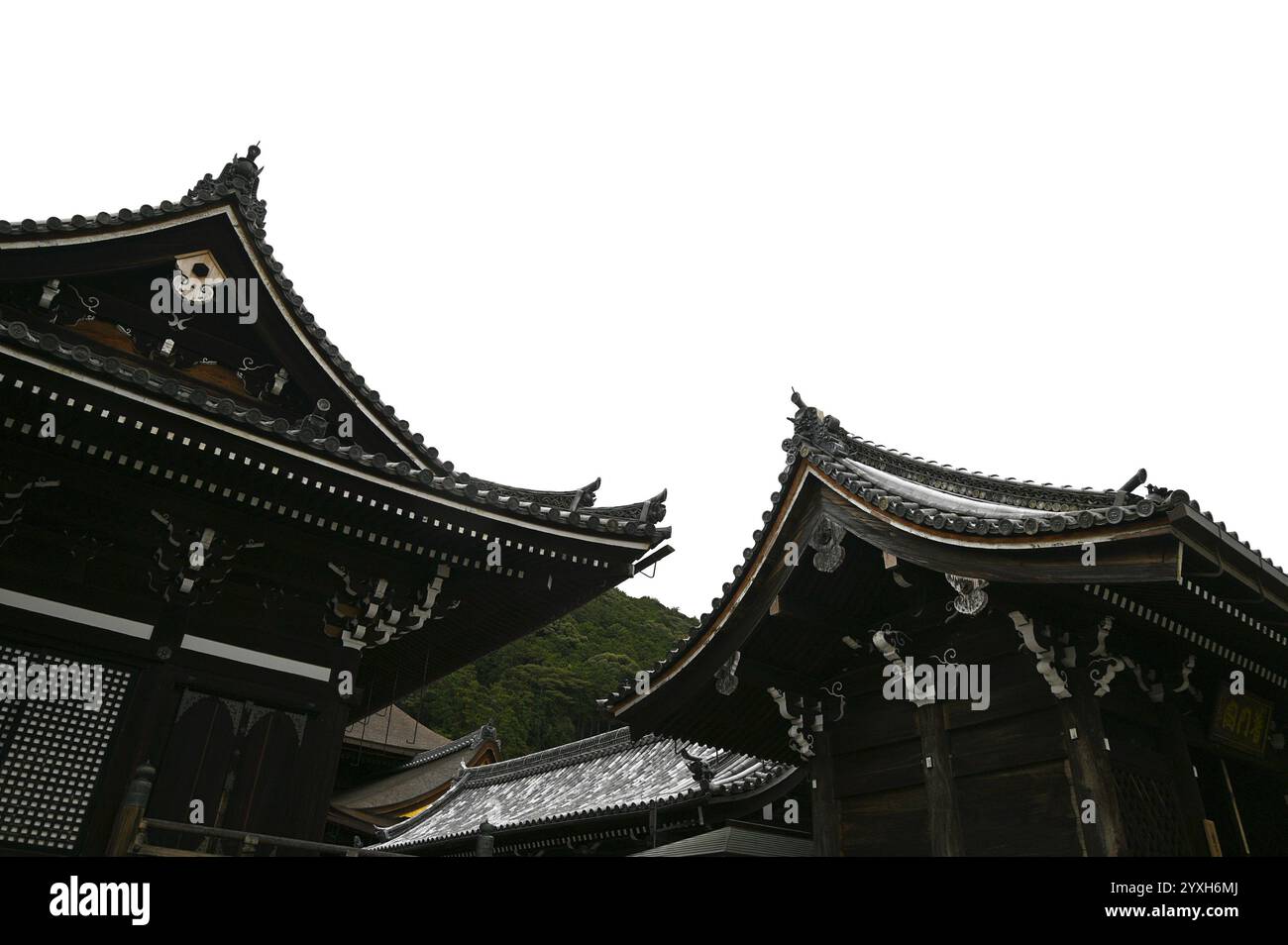 Kirizuma rooftops with exquisite Japanese Zelkova Serrata wood carvings ...