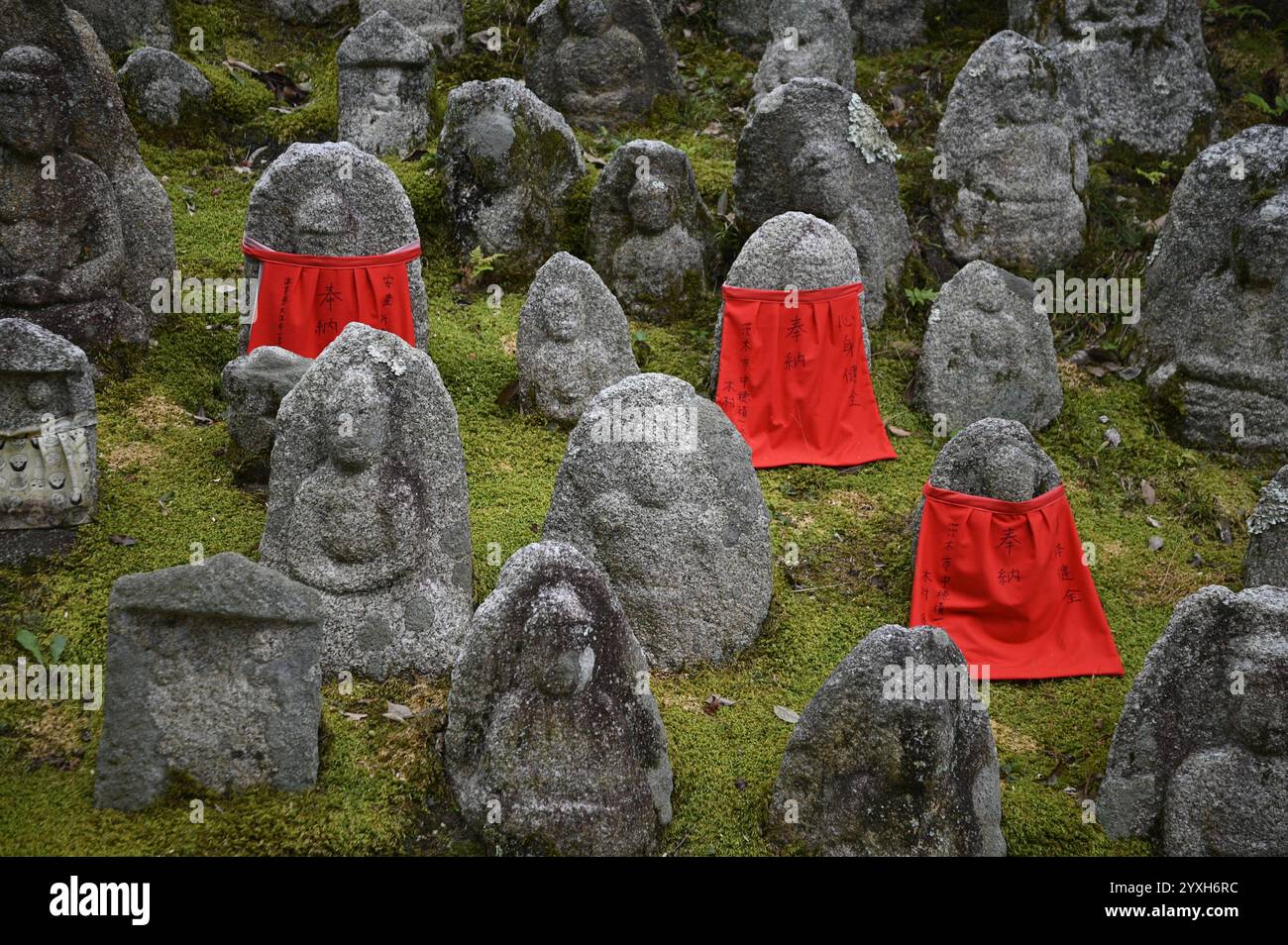 Stone Buddha statues with red aprons lined up on the grounds of ...