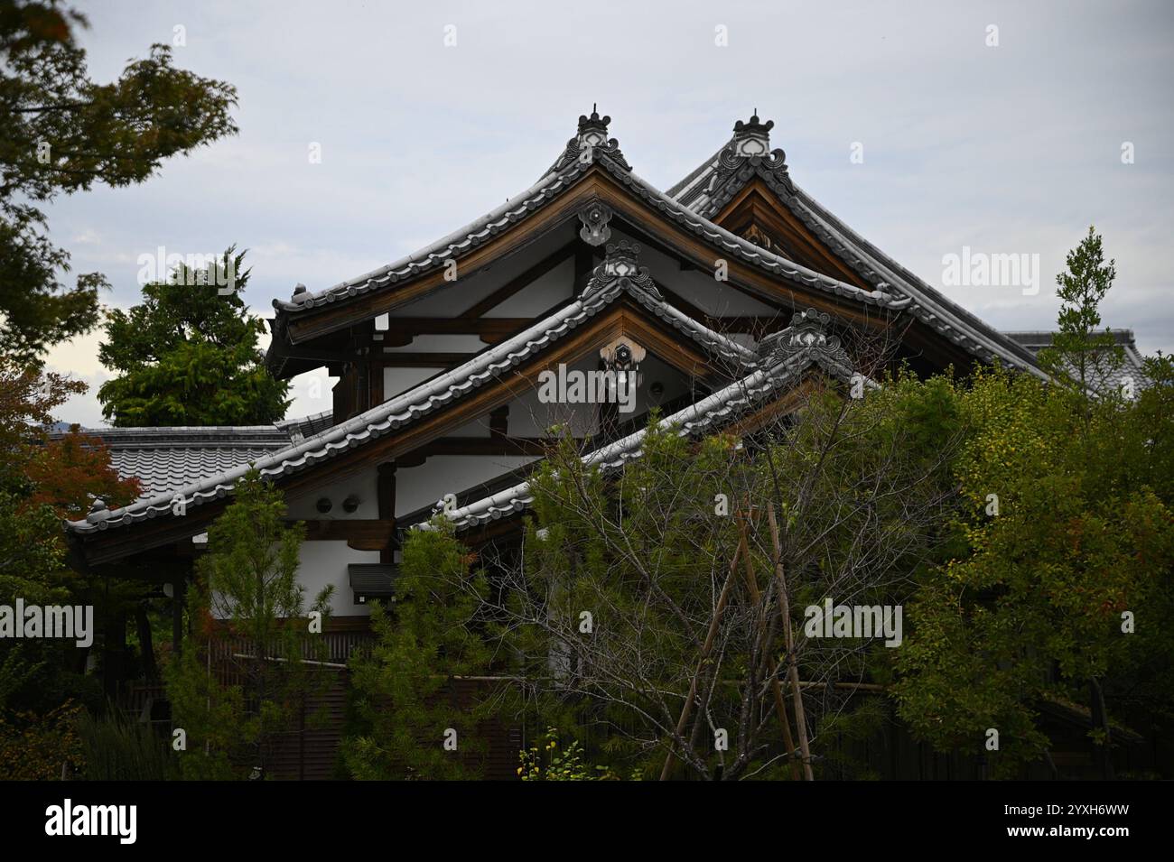 Kirizuma rooftops with exquisite Japanese Zelkova Serrata wood carvings ...