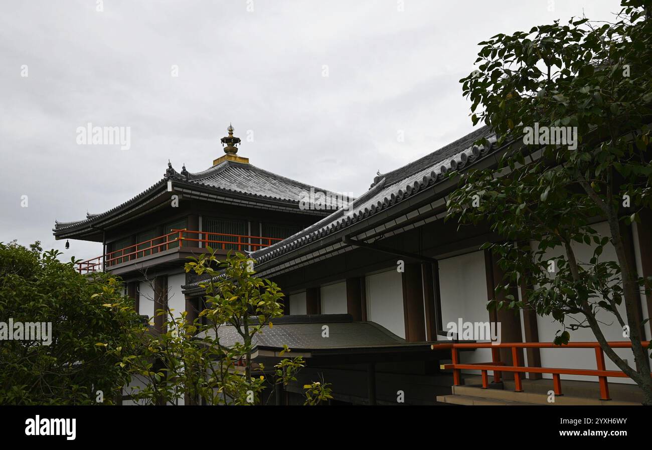 Ultimate nailless craftsmanship with exquisite Japanese Zelkova Serrata ...