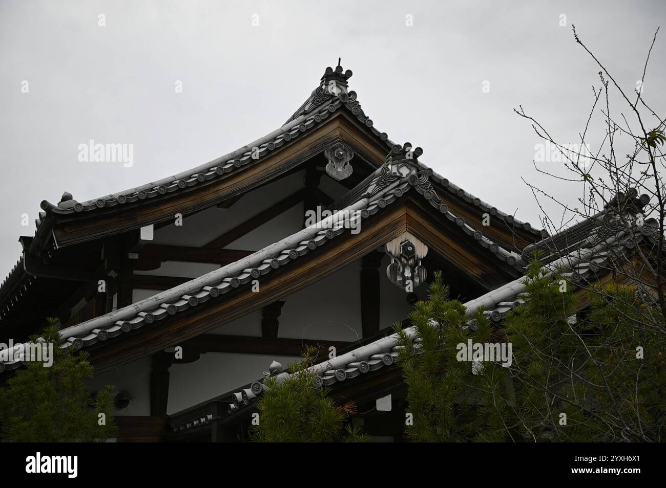 Kirizuma rooftops with exquisite Japanese Zelkova Serrata wood carvings ...