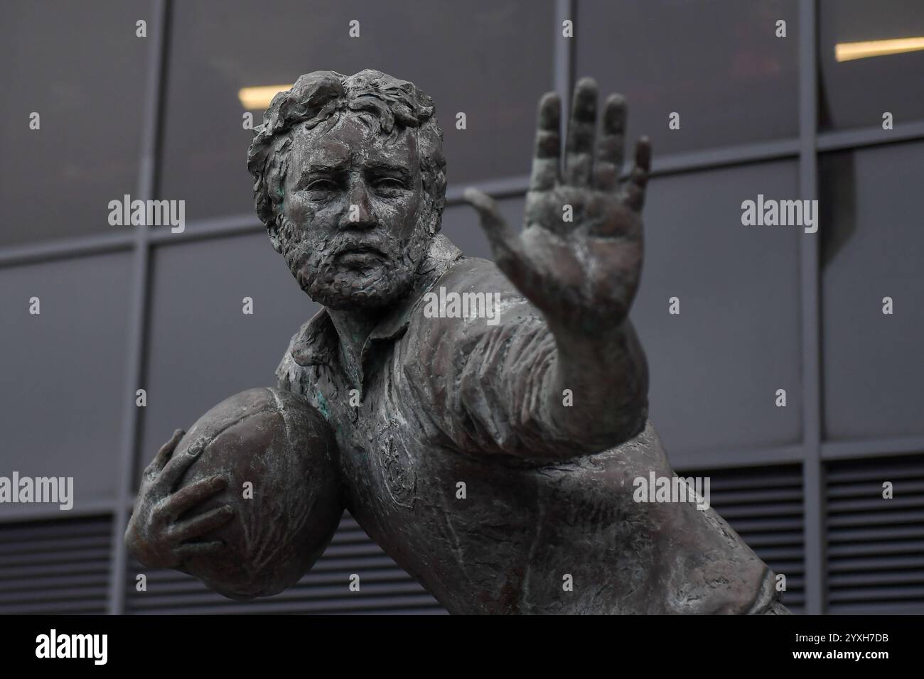Scarlets v black lion hi-res stock photography and images - Alamy