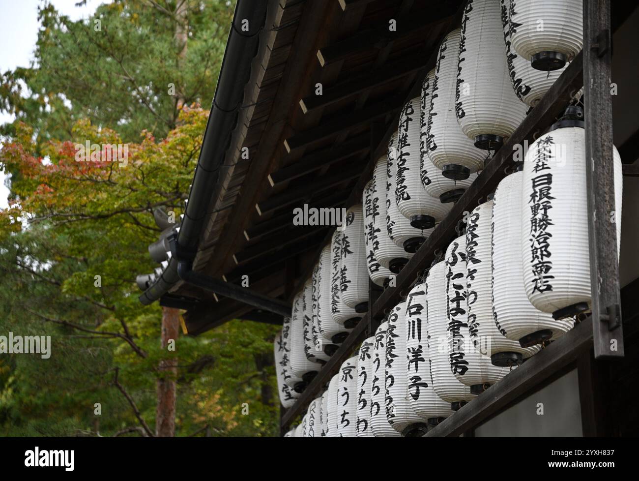 Traditional handmade washi paper Japanese Gifu Chochin lanterns on the ...