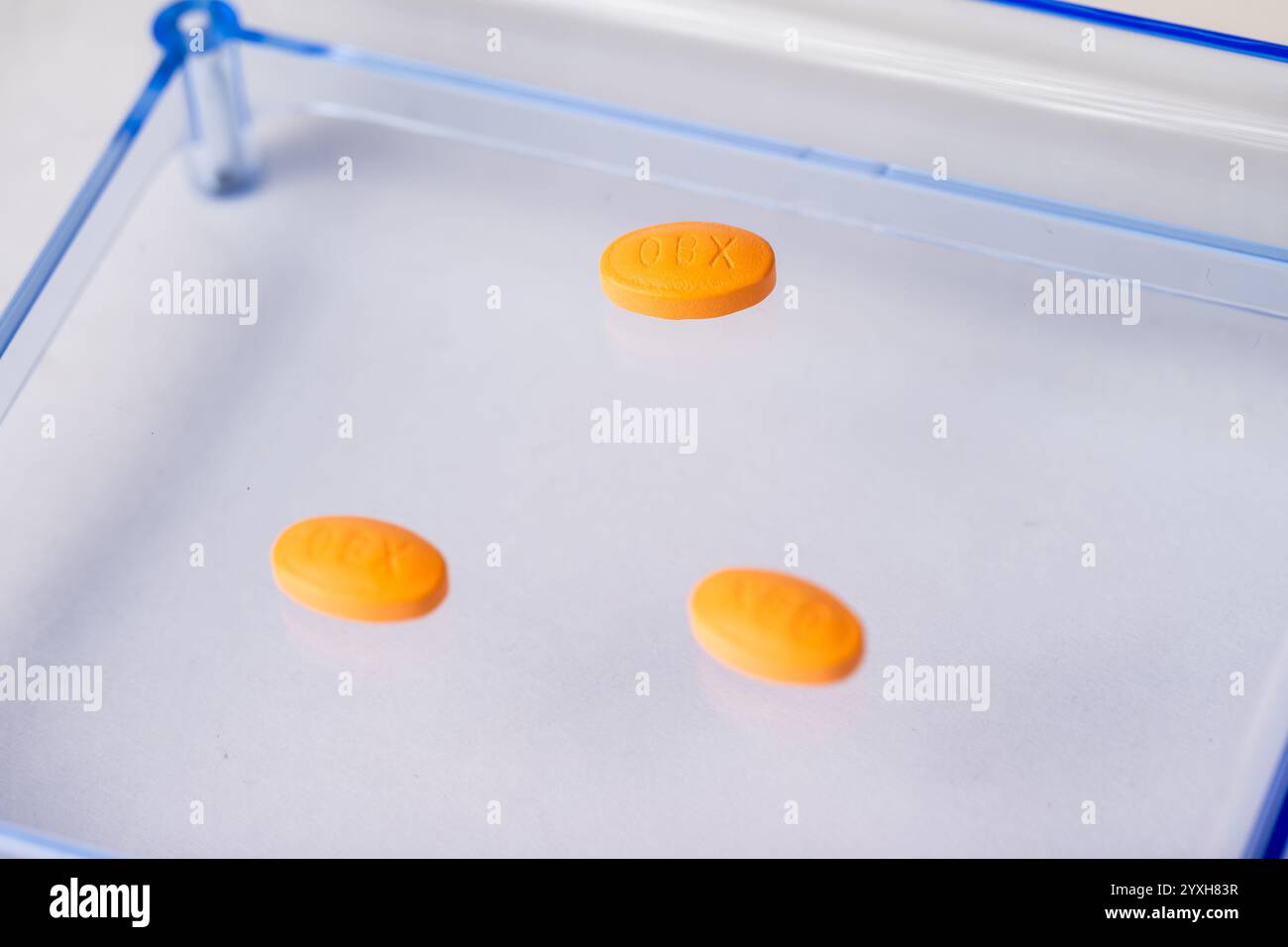 Prenatal care is essential for the development of the baby's pregnancy ...