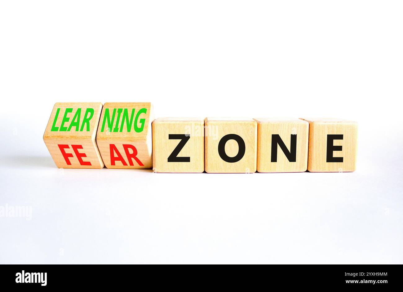 Learning or fear zone symbol. Concept words Learning zone Fear zone on ...