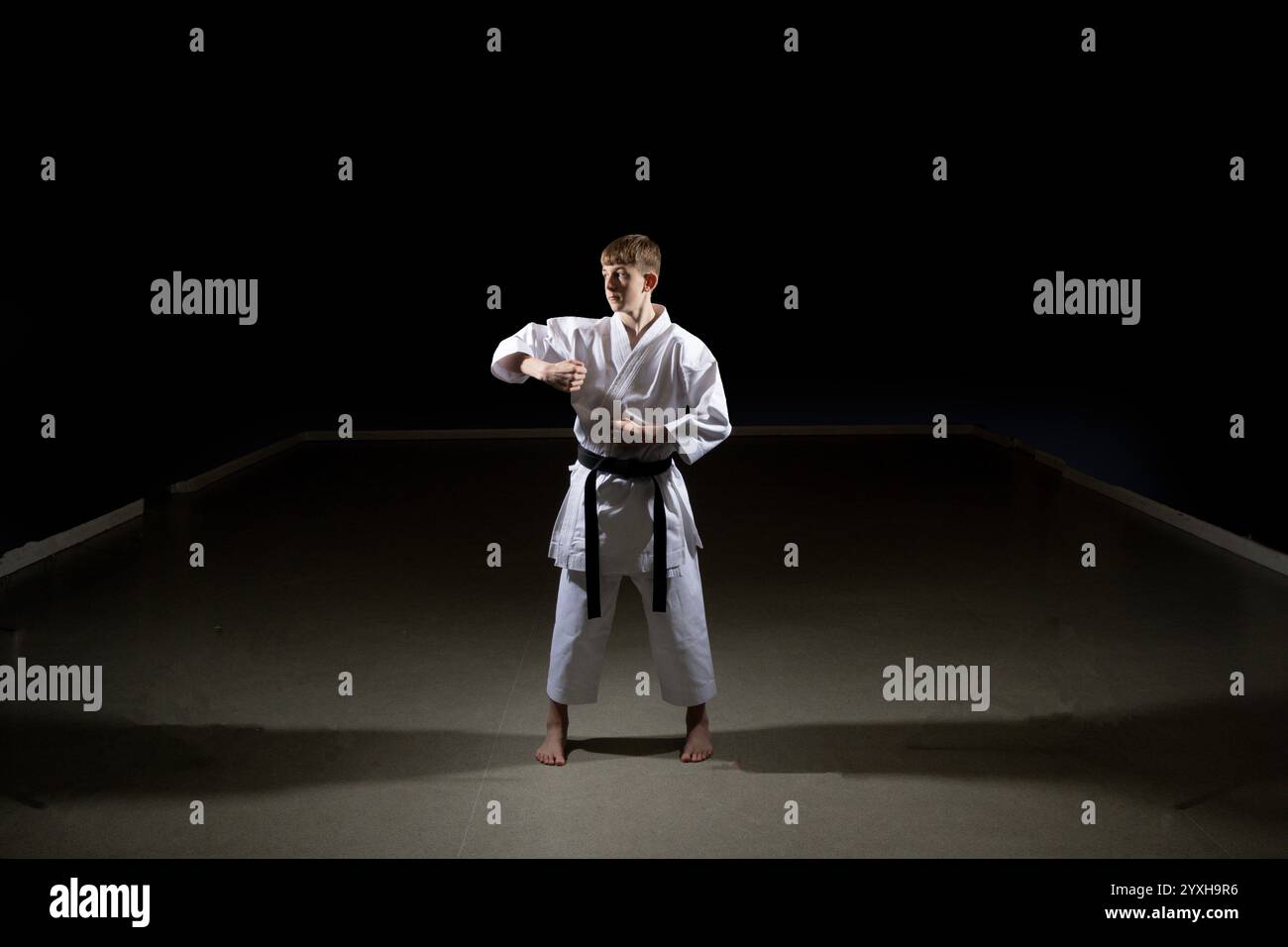 Fifteen year old male teenage karate black belt doing a side back fist ...