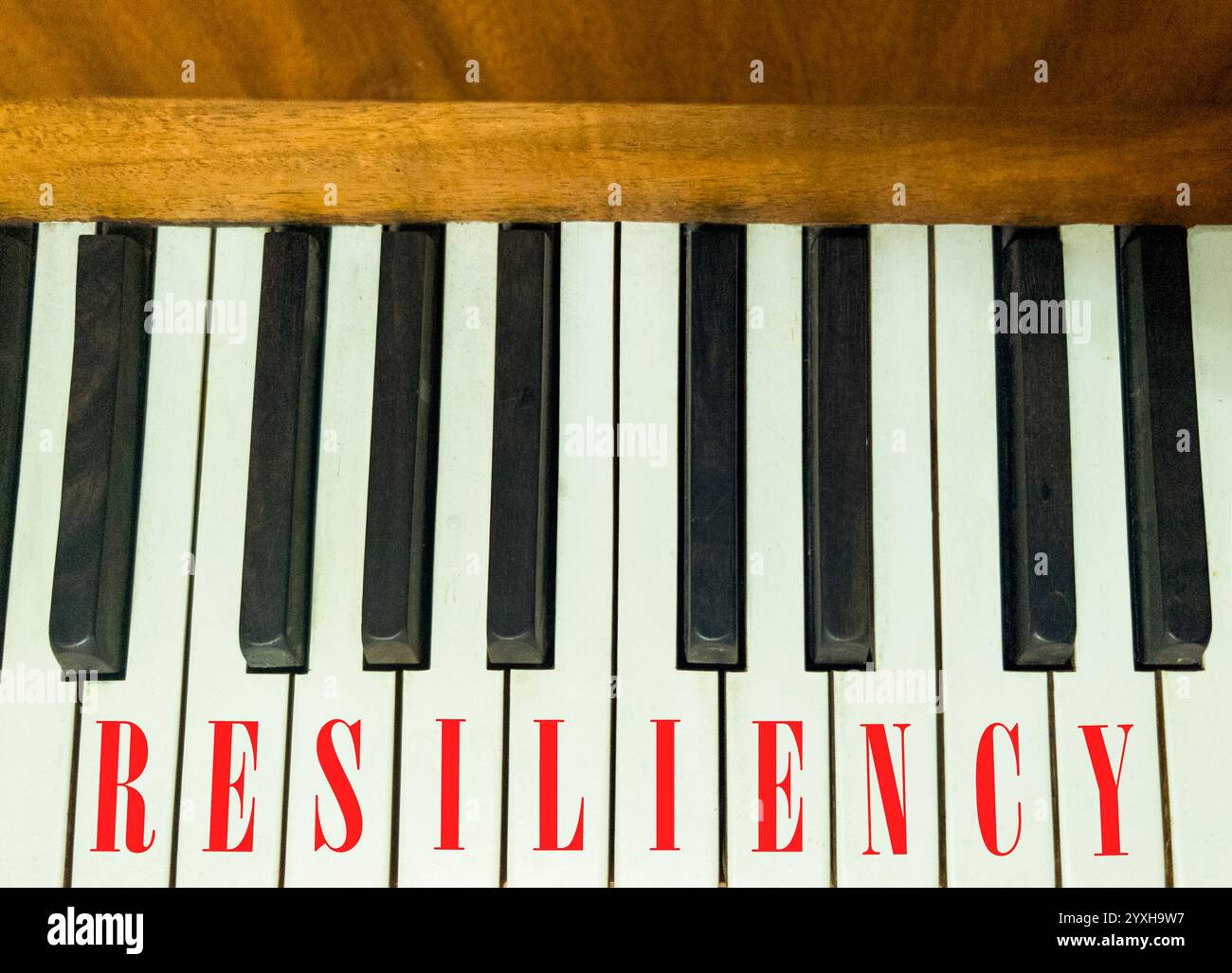 Resiliency symbol. Concept word Resiliency on beautiful keys of the old ...