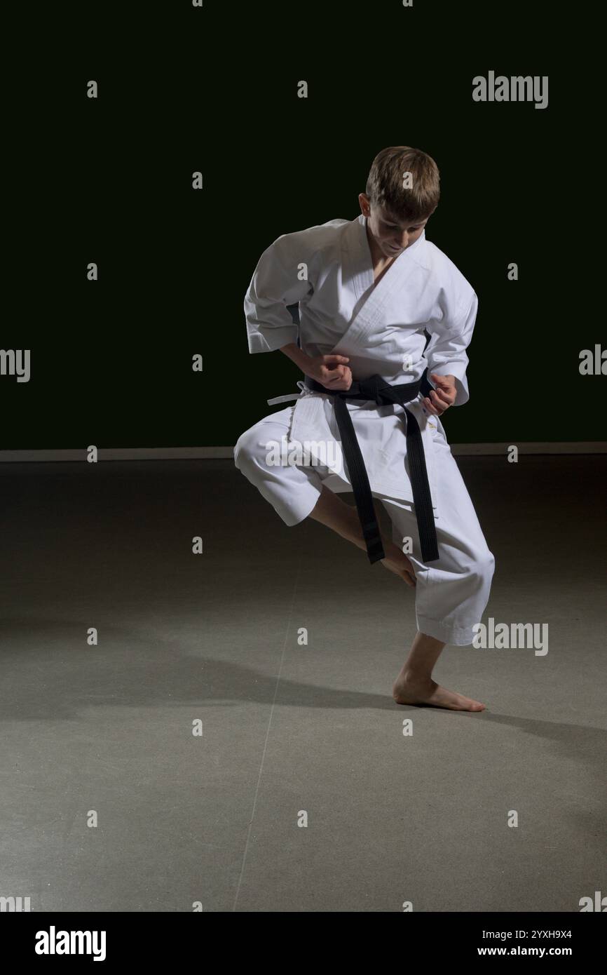 Fifteen year old male teenage karate black belt performing kata Seipai ...