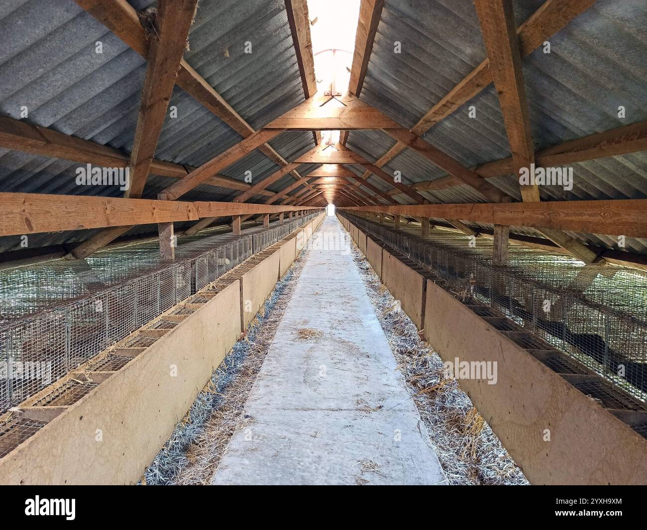 Minks cage hi-res stock photography and images - Alamy