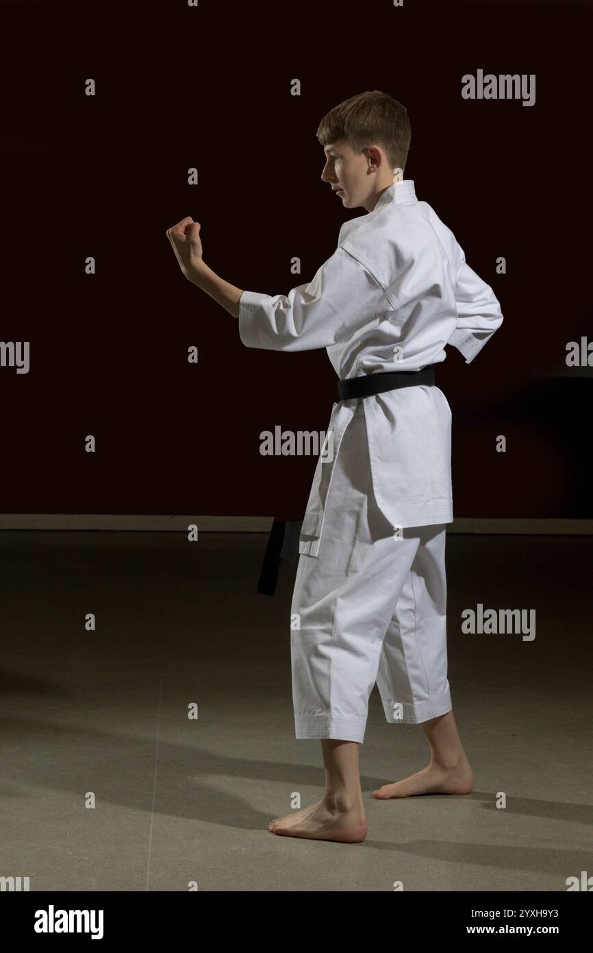 Fifteen year old male teenage karate black belt performing kata Seipai ...