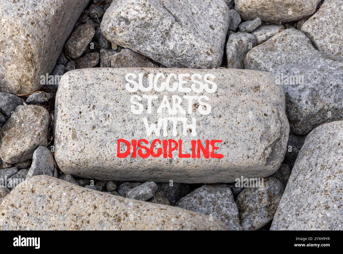 Success starts with discipline symbol. Concept words Success starts with discipline on beautiful ...