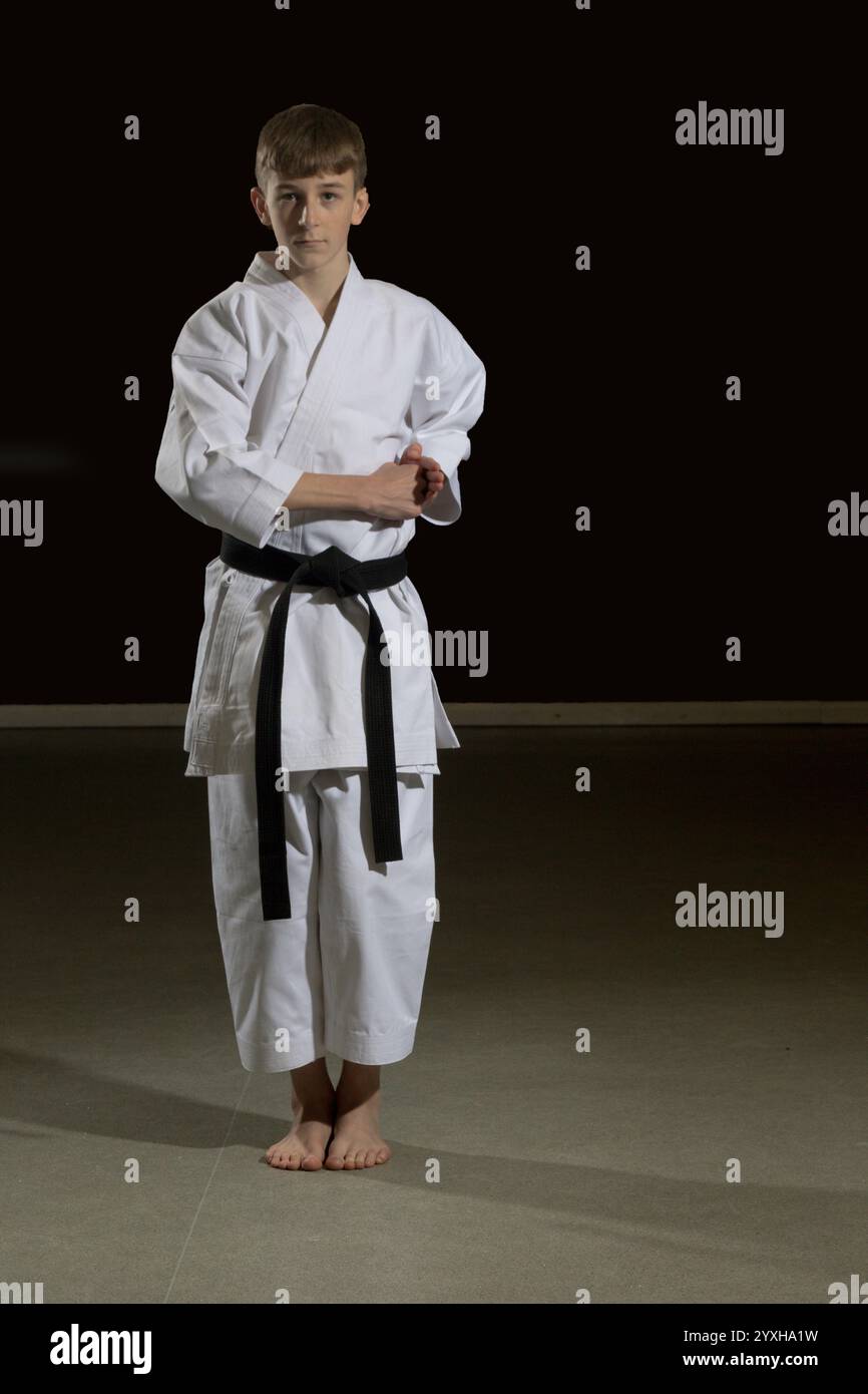 Fifteen year old male teenage karate black belt performing kata Enpi ...