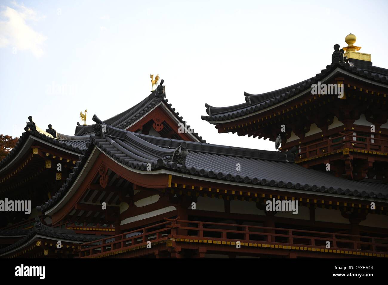 Scenic rooftop view of the Phoenix Hall, the Main building of Byōdō-in ...