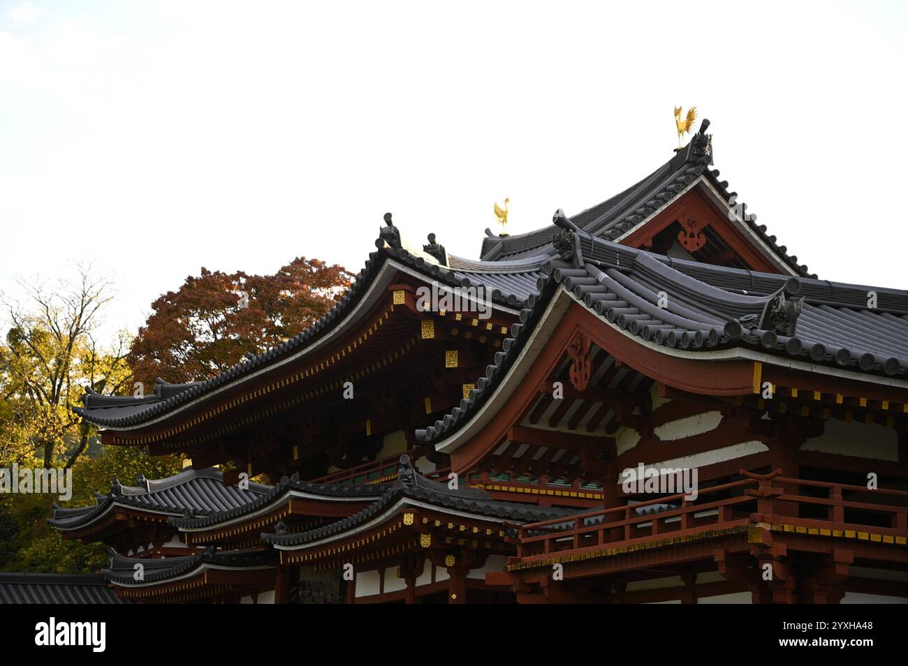 Scenic rooftop view of the Phoenix Hall, the Main building of Byōdō-in ...