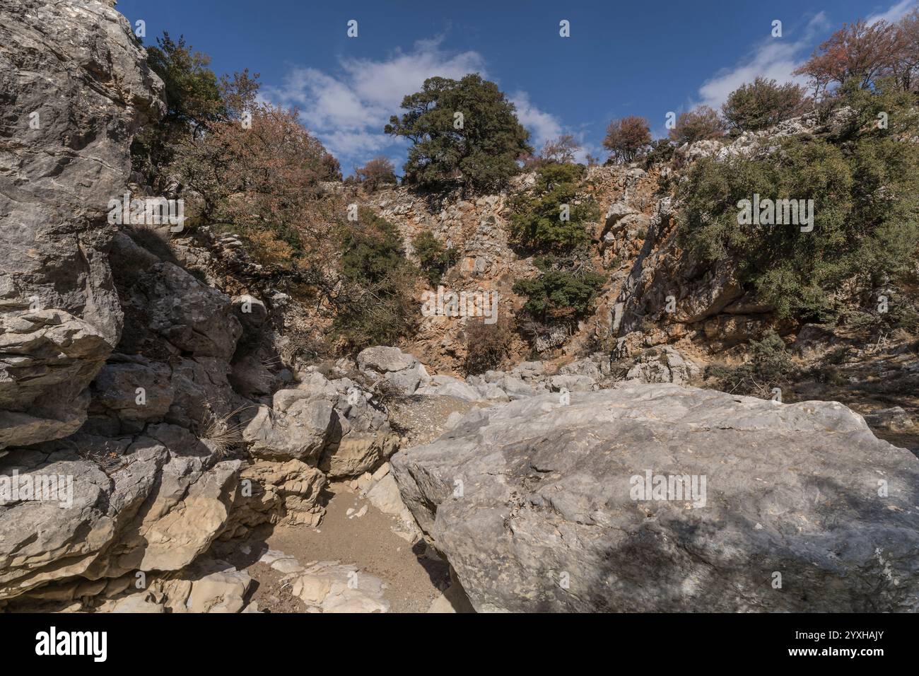 hiking trail in kritsa gorge Stock Photo - Alamy