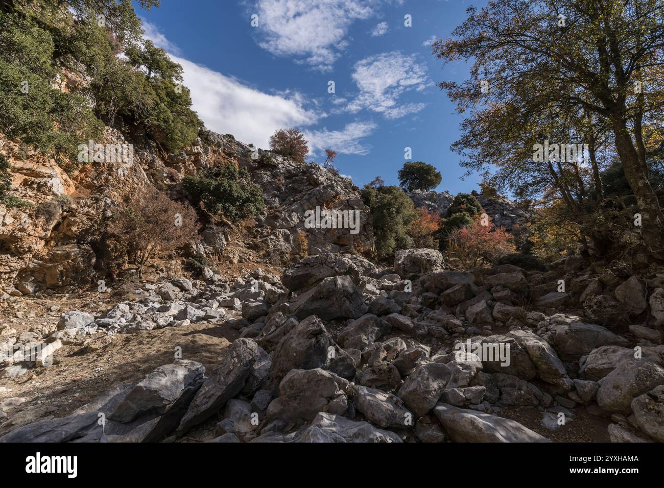 hiking trail in kritsa gorge Stock Photo - Alamy