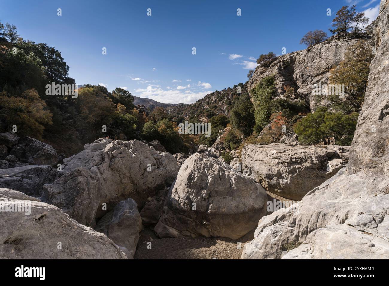 hiking trail in kritsa gorge Stock Photo - Alamy