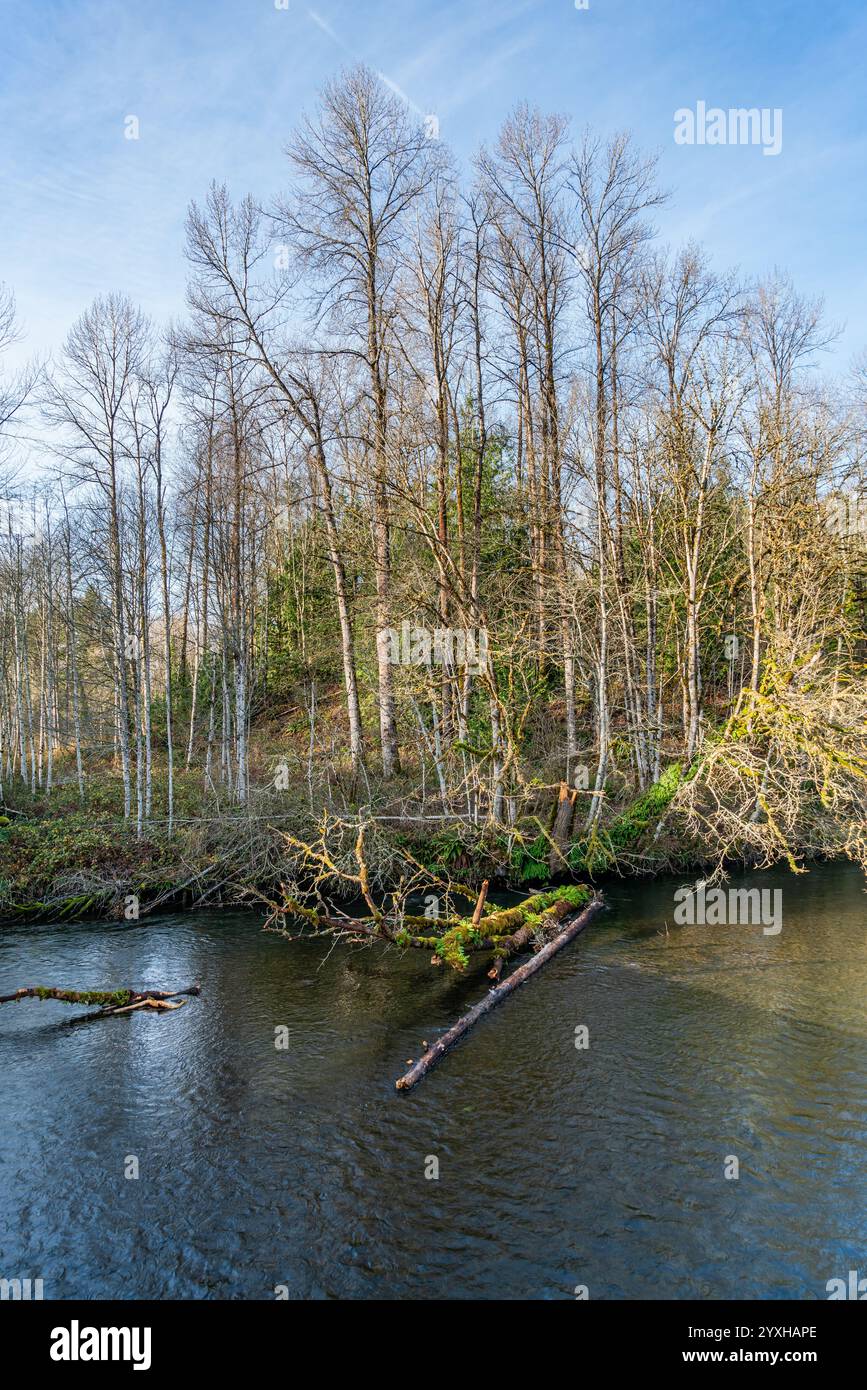 A view of the Green River at Flaming Geyser State Park in Washington ...
