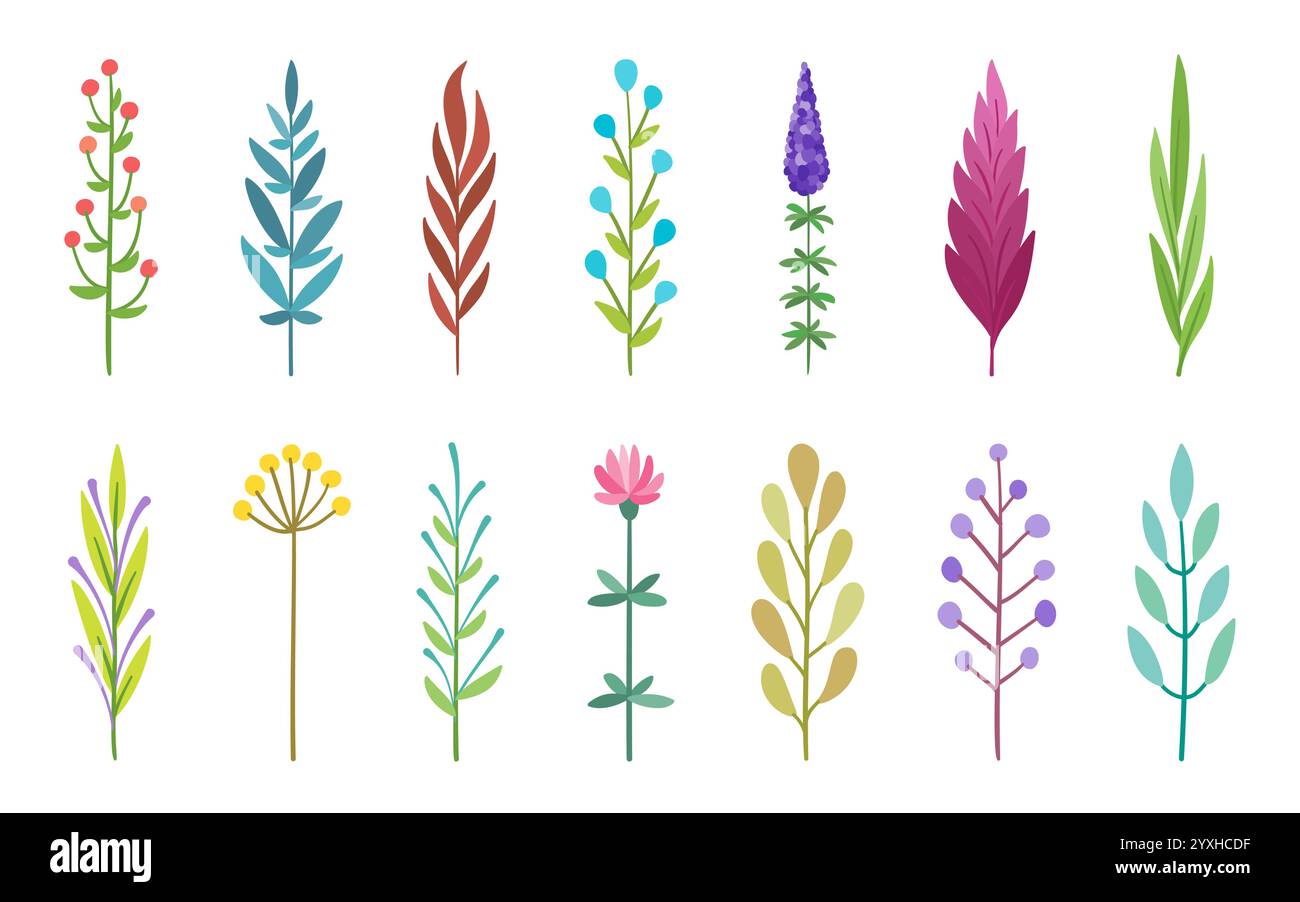 Herb stem plant texture detail Stock Vector Images - Alamy
