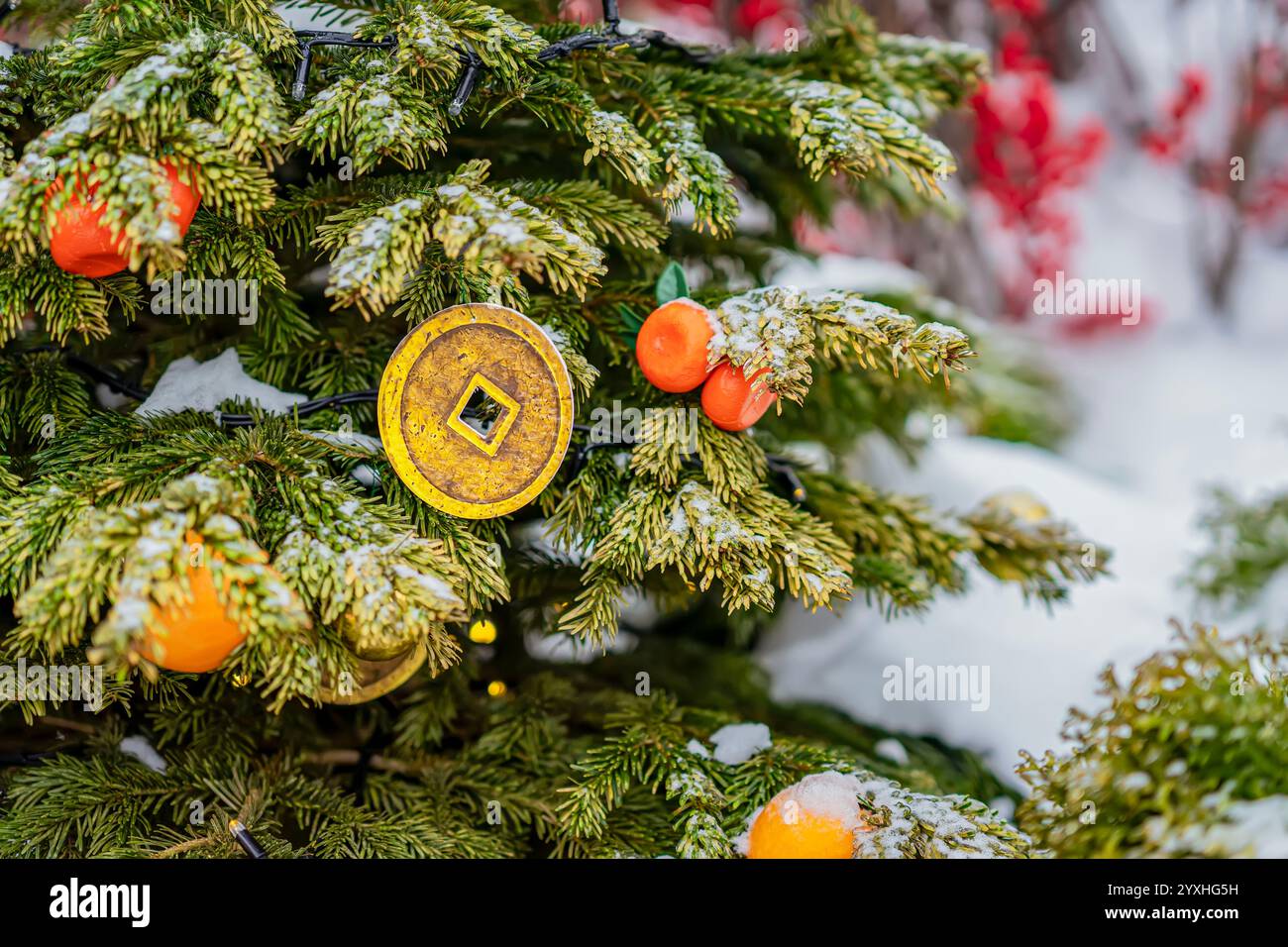 Symbolic money tree coin hi-res stock photography and images - Alamy