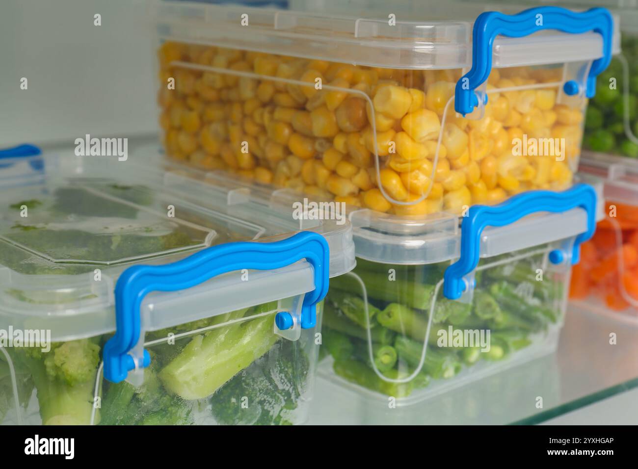 Plastic containers with different frozen vegetables in refrigerator ...