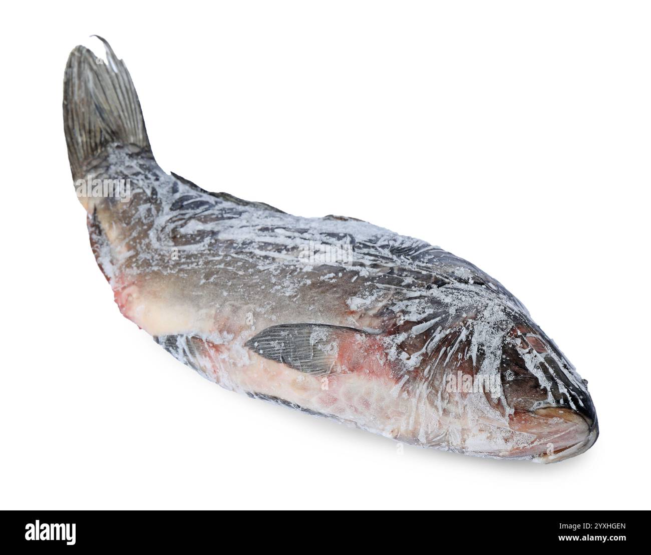 Fish frozen market Cut Out Stock Images & Pictures - Alamy