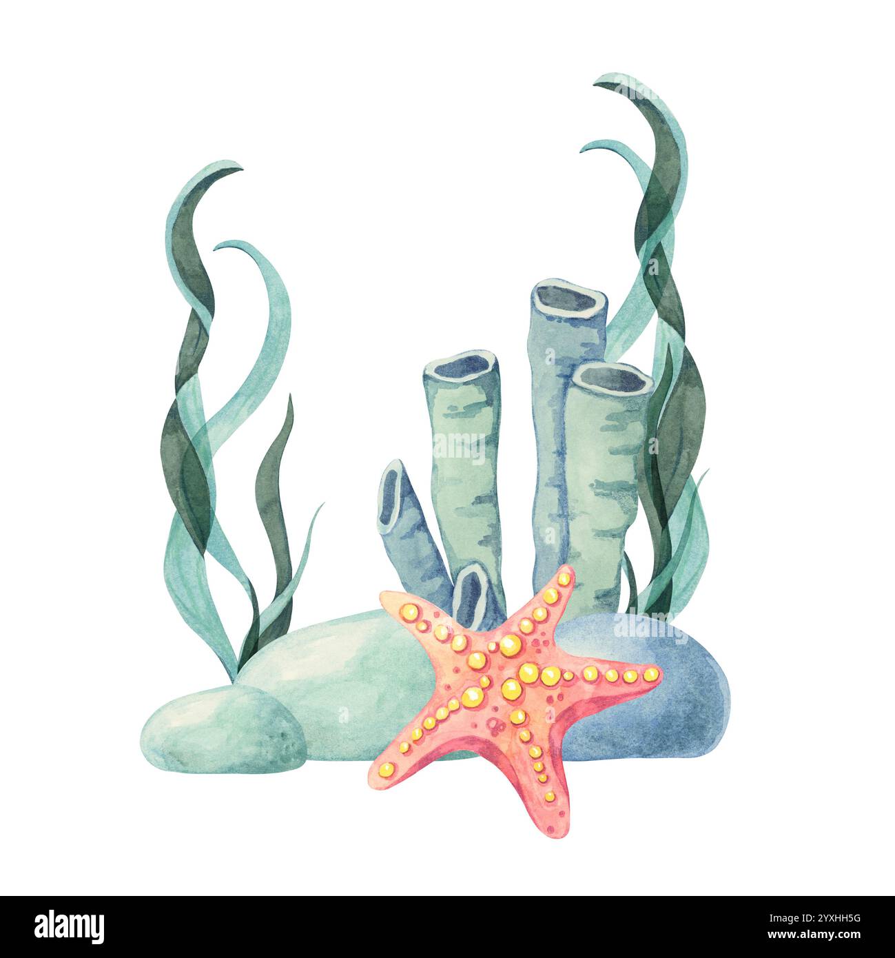 Starfish underwater animal clipart Cut Out Stock Images & Pictures - Alamy