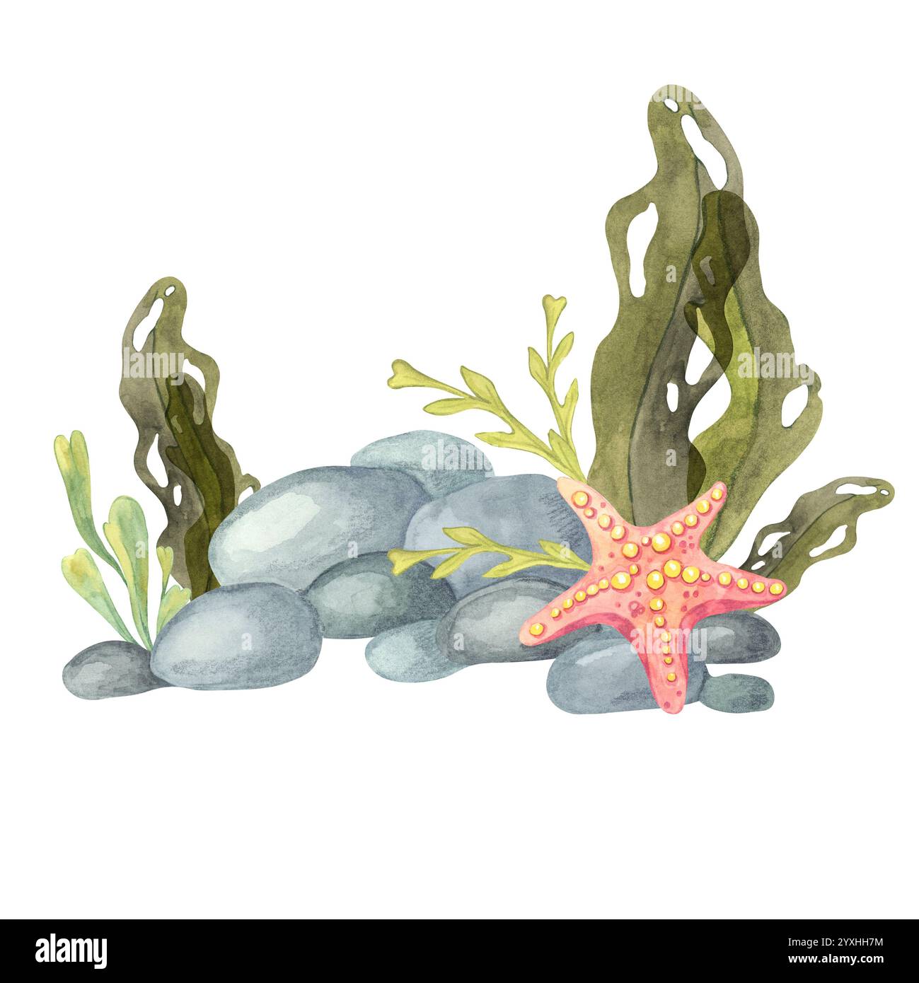 a-watercolor-arrangement-of-orange-starfish-green-seaweed-and-gray