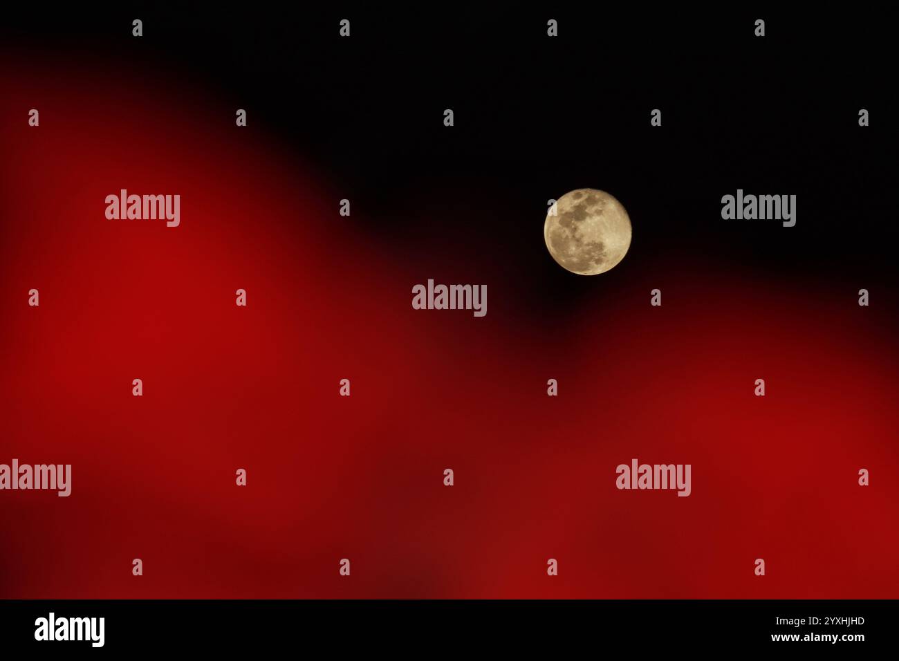 The moon know as Cold Moon is seen through the flowers of Christmas Eve ...