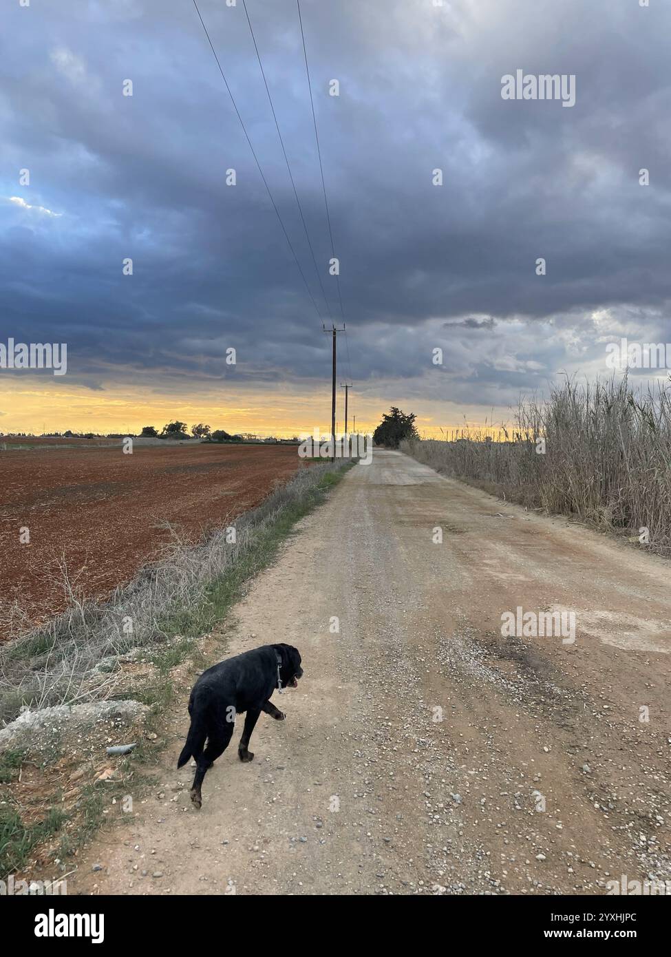 A gravel road stretches through the peaceful countryside of Avgorou ...