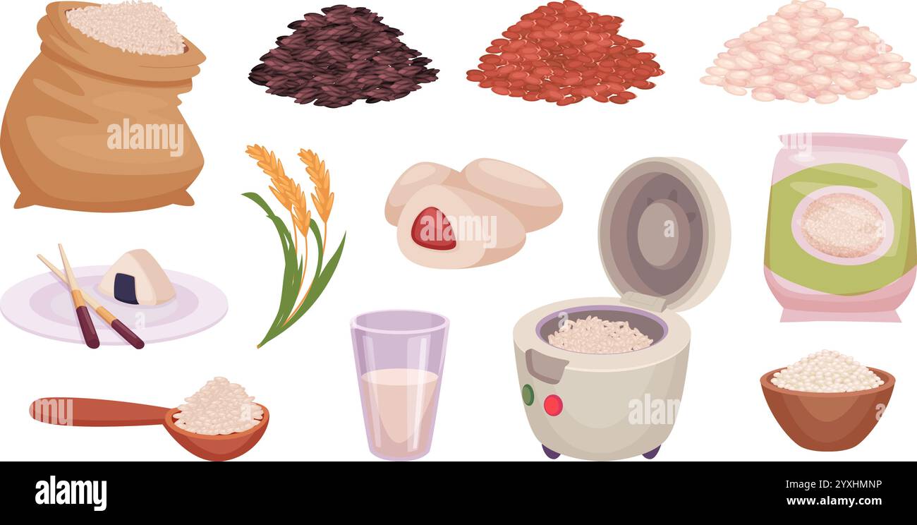 Rice. Grain products traditional asian food exact vector different rice ...