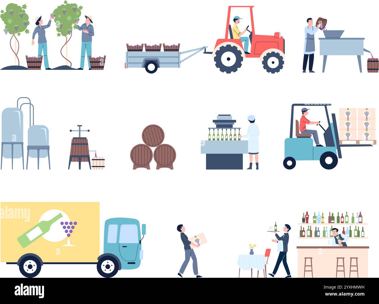 Cartoon flat wine production. Winery process from harvest grapes to ...