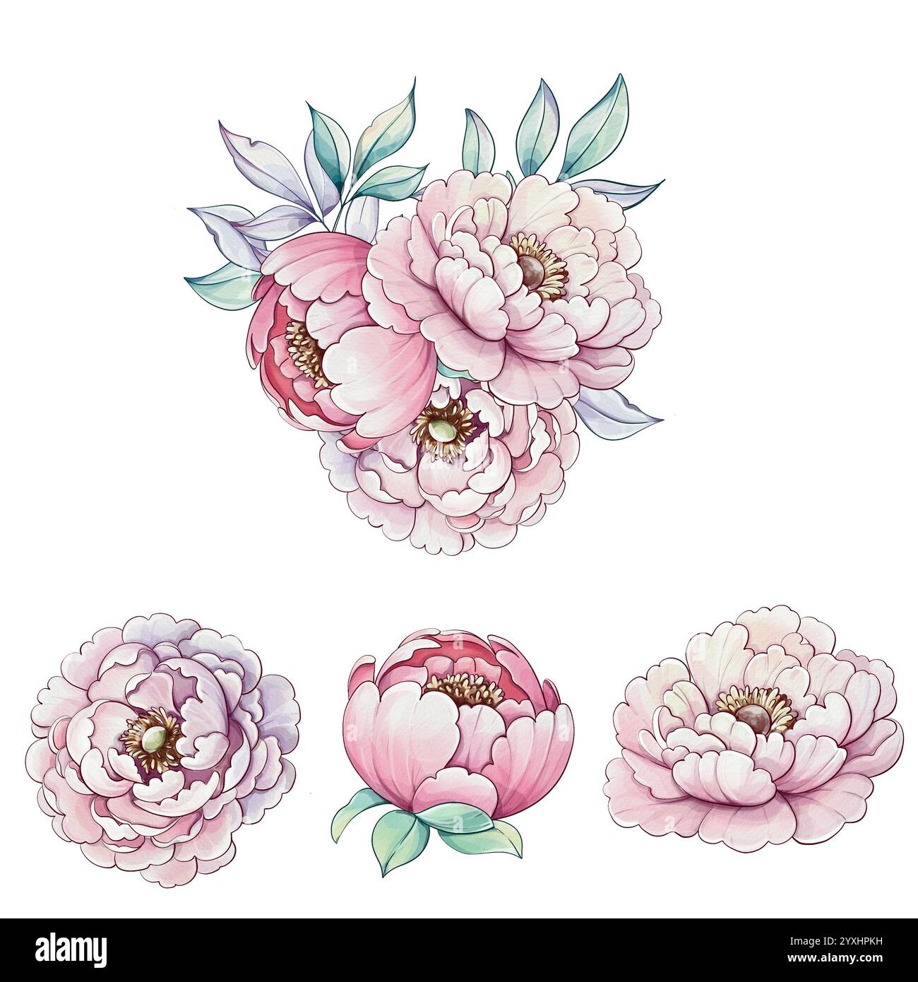 Soft and vibrant blooms of peonies come to life in watercolor ...
